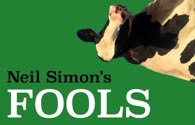 See the Cast of Fall Play, "Fools" - University High School